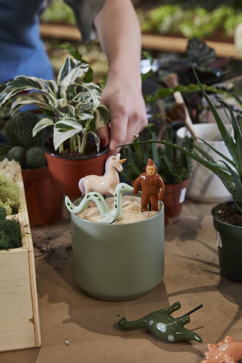 mythical creatures plant stick | mythical creatures plant stick flower ...