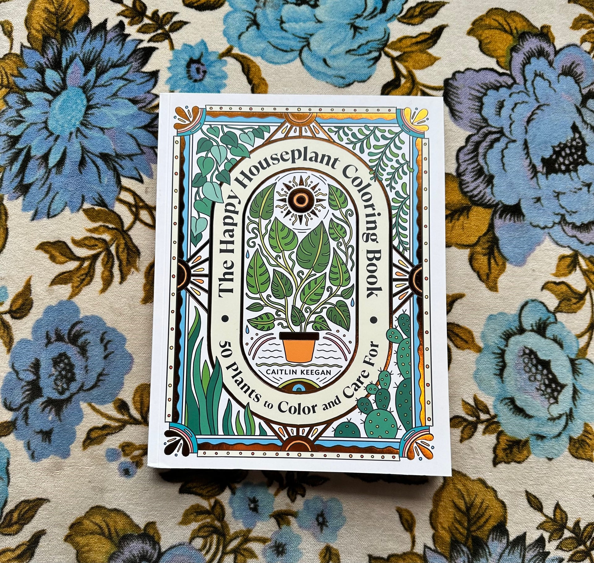 house plants coloring book