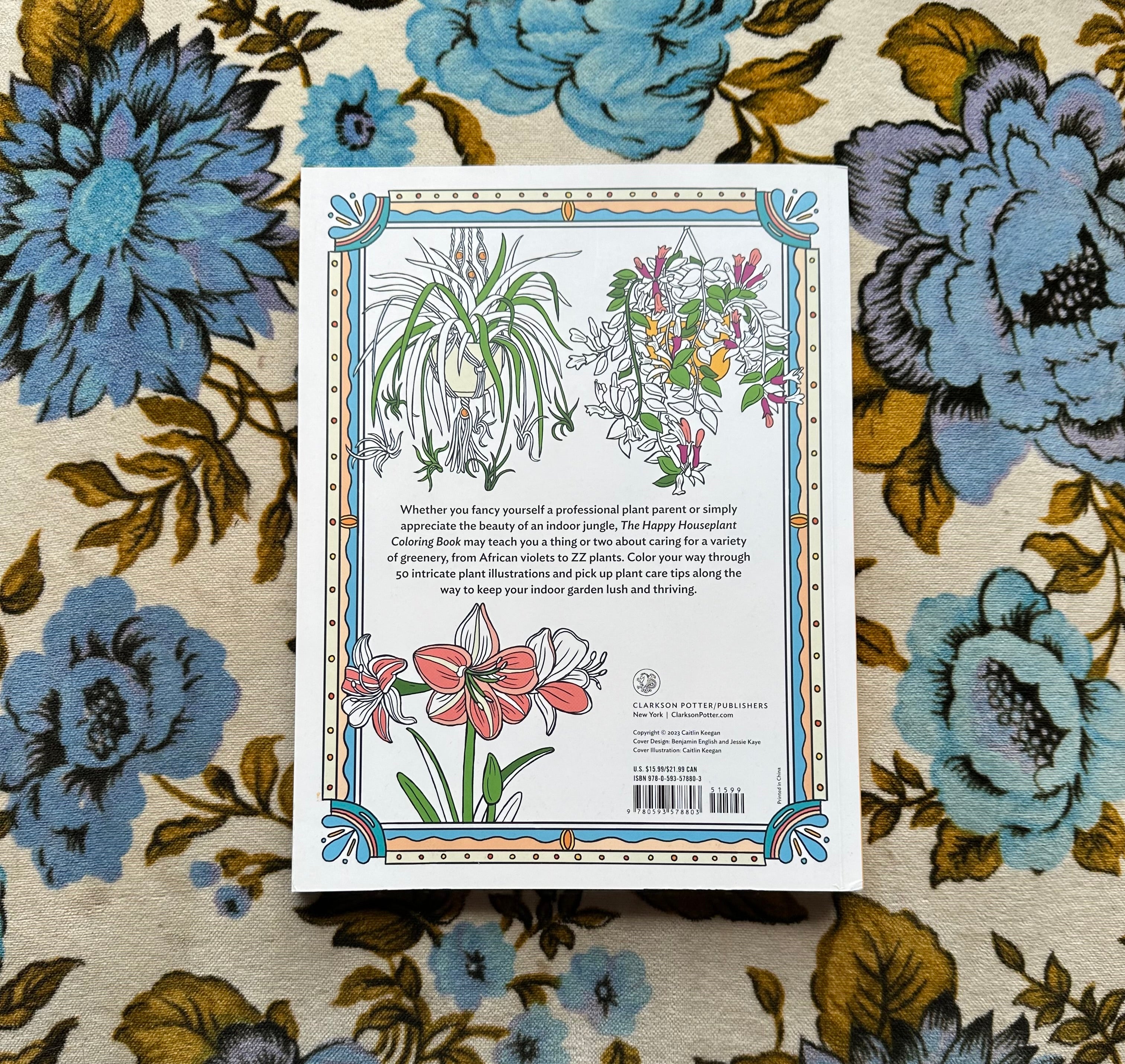 house plants coloring book