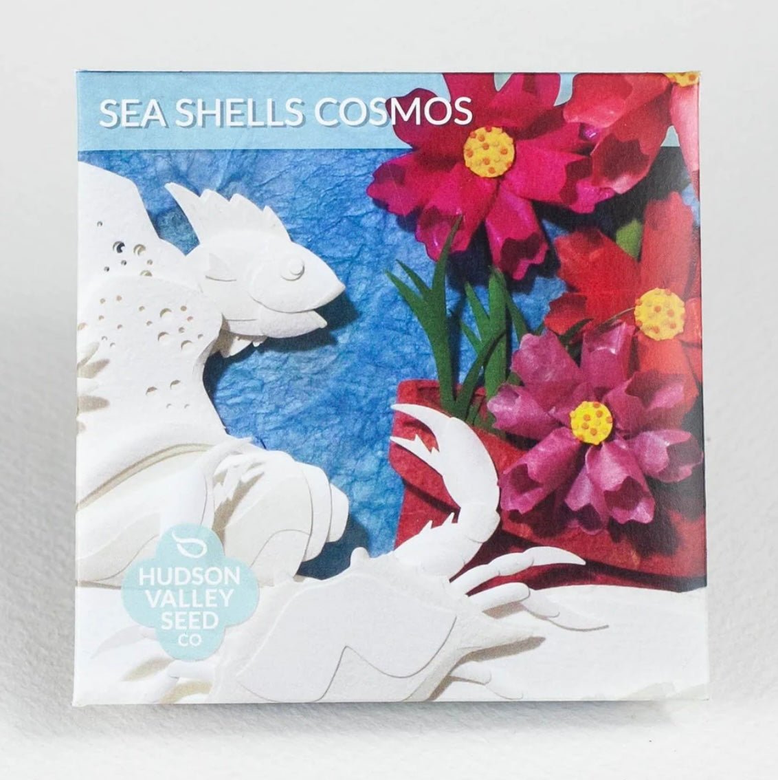 hudson valley sea shell cosmos seeds | flower + furbish